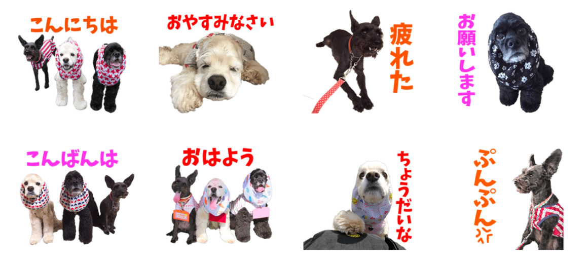 シニア3姉妹ちゃん達のオリジナルLINEスタンプ制作 | Hapi Sta!（ハピスタ）- LINEスタンプ制作・作成代行サービス