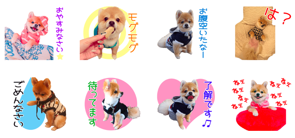 ポメDAYSちゃんのオリジナルLINEスタンプ制作 | Hapi Sta!（ハピスタ）- LINEスタンプ制作・作成代行サービス