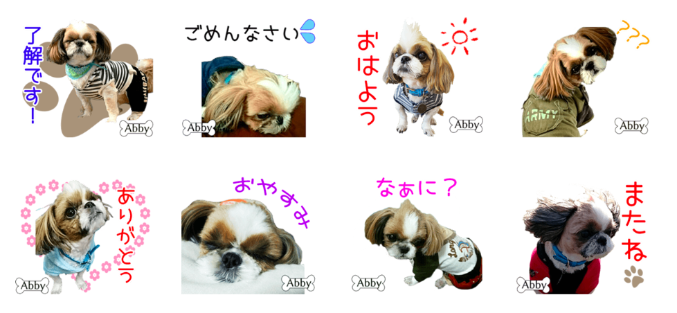 シーズー・アビー第3弾オリジナルLINEスタンプ制作 | Hapi Sta!（ハピスタ）- LINEスタンプ制作・作成代行サービス