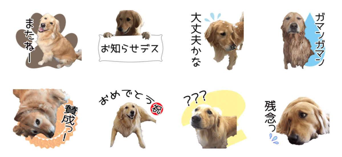 りくちゃんのオリジナルLINEスタンプ第2弾 | Hapi Sta!（ハピスタ）- LINEスタンプ制作・作成代行サービス