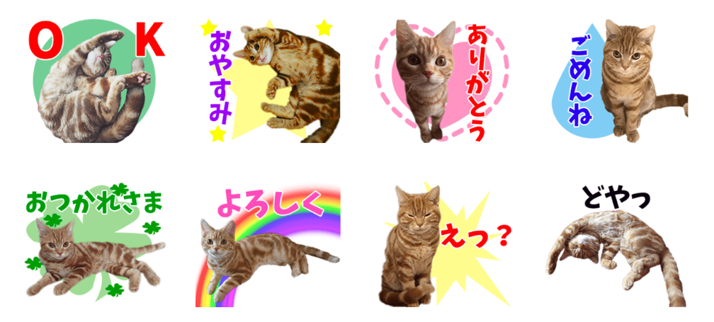こじすたちゃんのオリジナルLINEスタンプ制作 | Hapi Sta!（ハピスタ）- LINEスタンプ制作・作成代行サービス