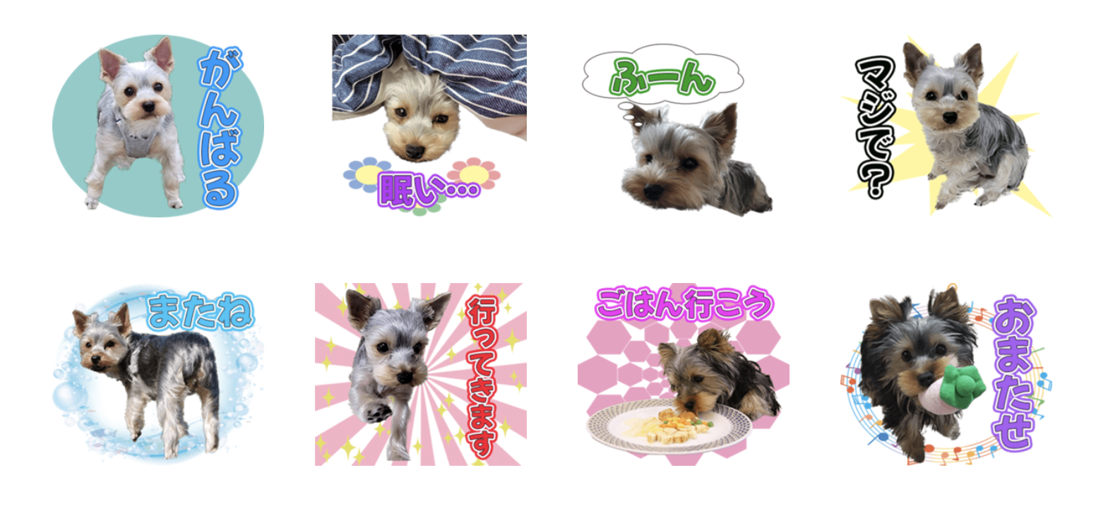 もみちゃんの日常★ | Hapi Sta!（ハピスタ）- LINEスタンプ制作・作成代行サービス