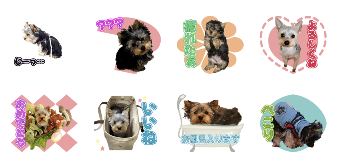 もみちゃんの日常★ | Hapi Sta!（ハピスタ）- LINEスタンプ制作・作成代行サービス