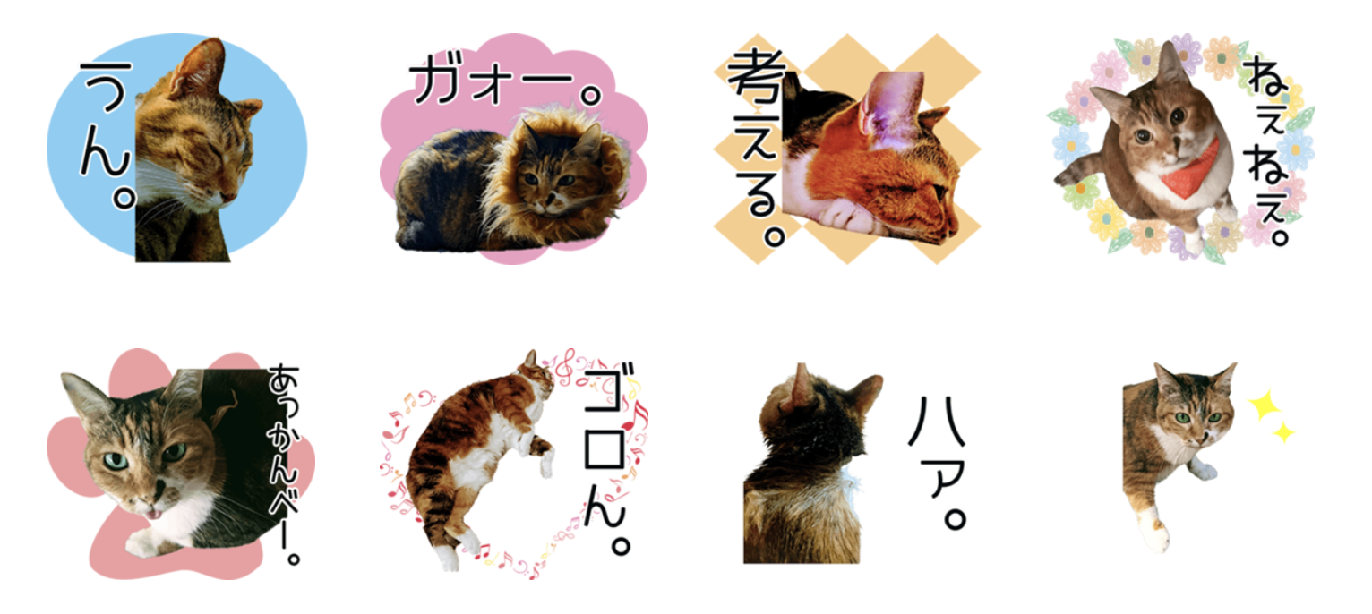 チャトコのお返事 | Hapi Sta!（ハピスタ）- LINEスタンプ制作・作成代行サービス