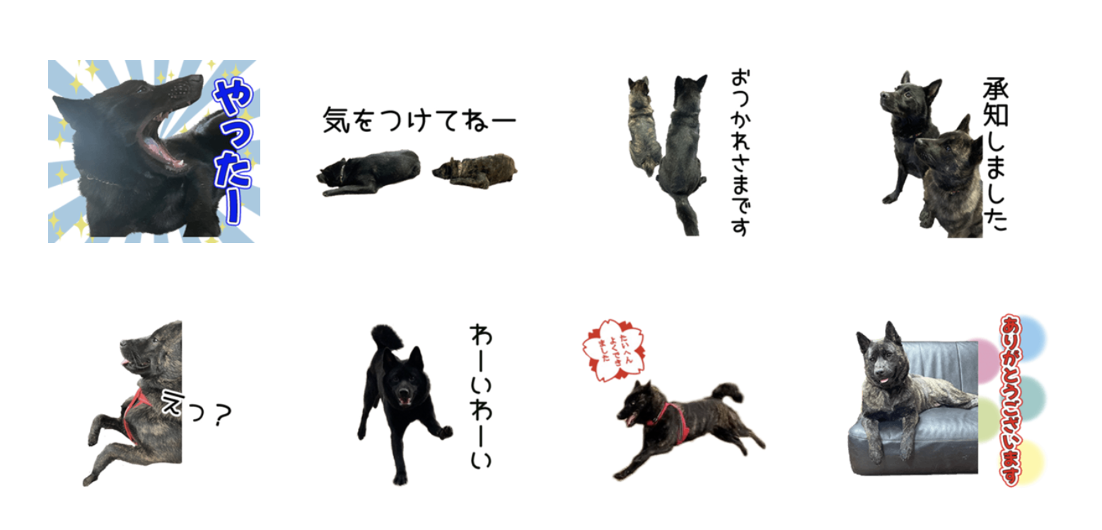 KAIRIN.A | Hapi Sta!（ハピスタ）- LINEスタンプ制作・作成代行サービス