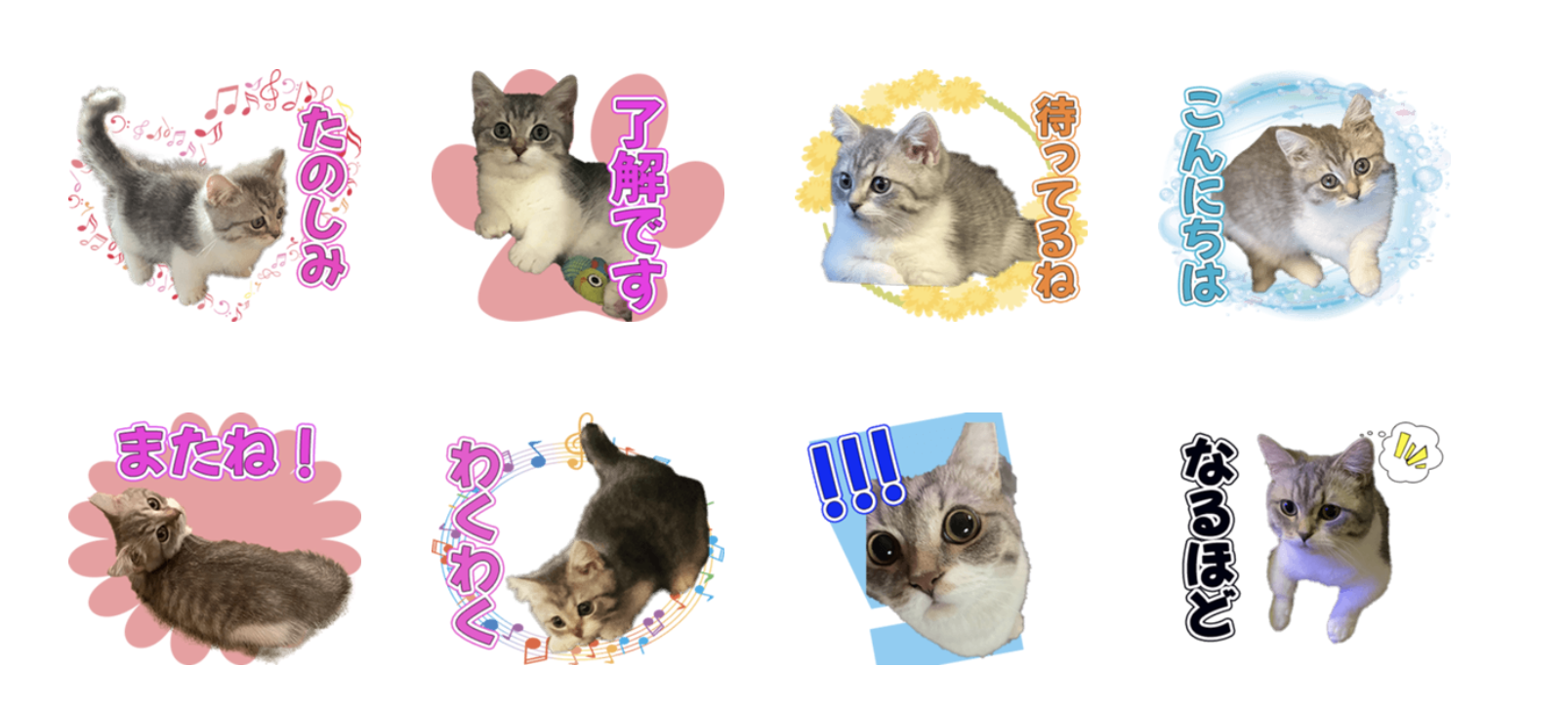 Lovely vivi stamp | Hapi Sta!（ハピスタ）- LINEスタンプ制作・作成代行サービス