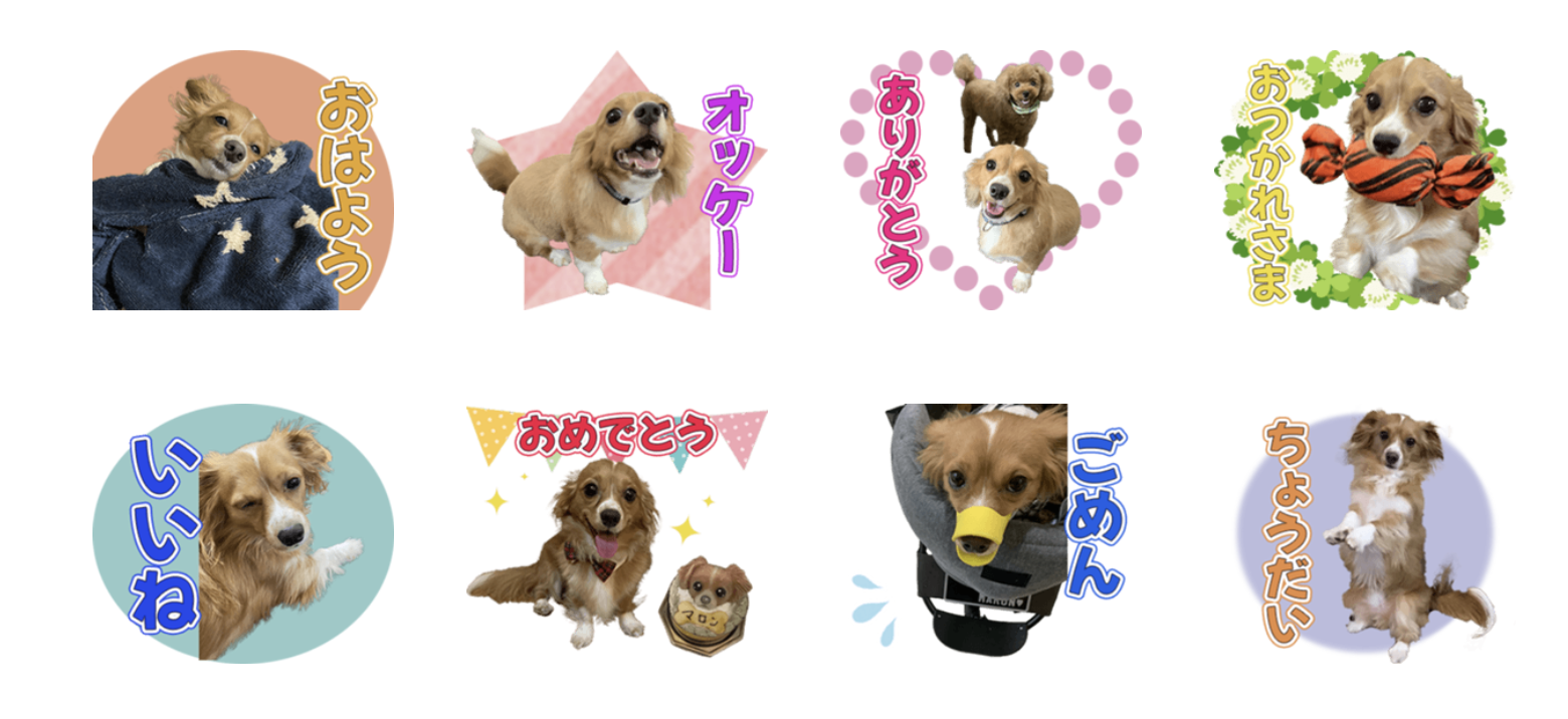 チワックス♂マロンのスタンプ | Hapi Sta!（ハピスタ）- LINEスタンプ制作・作成代行サービス