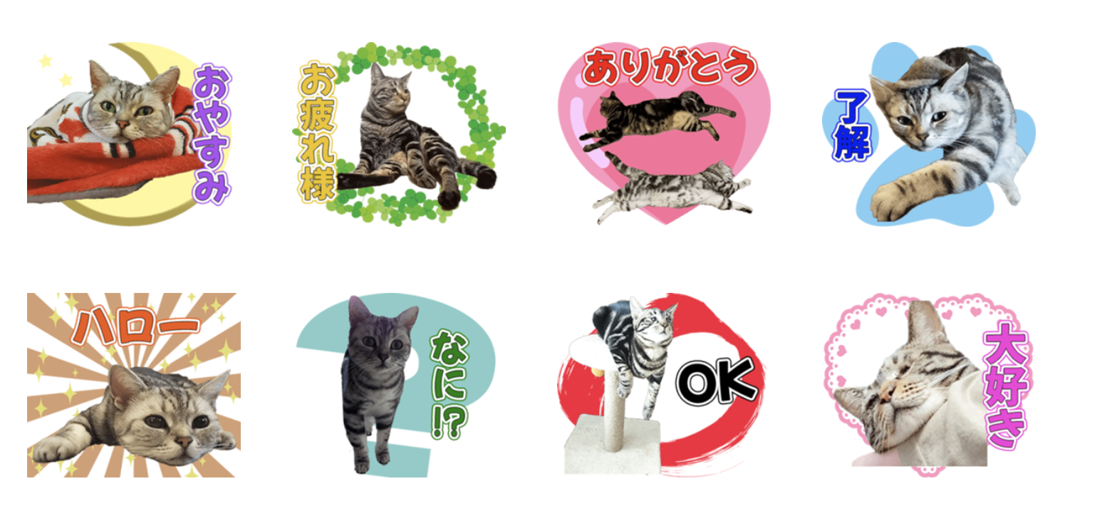 ノンとマル | Hapi Sta!（ハピスタ）- LINEスタンプ制作・作成代行サービス