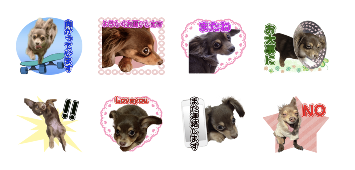 チワックスのどんぐり♡ | Hapi Sta!（ハピスタ）- LINEスタンプ制作・作成代行サービス