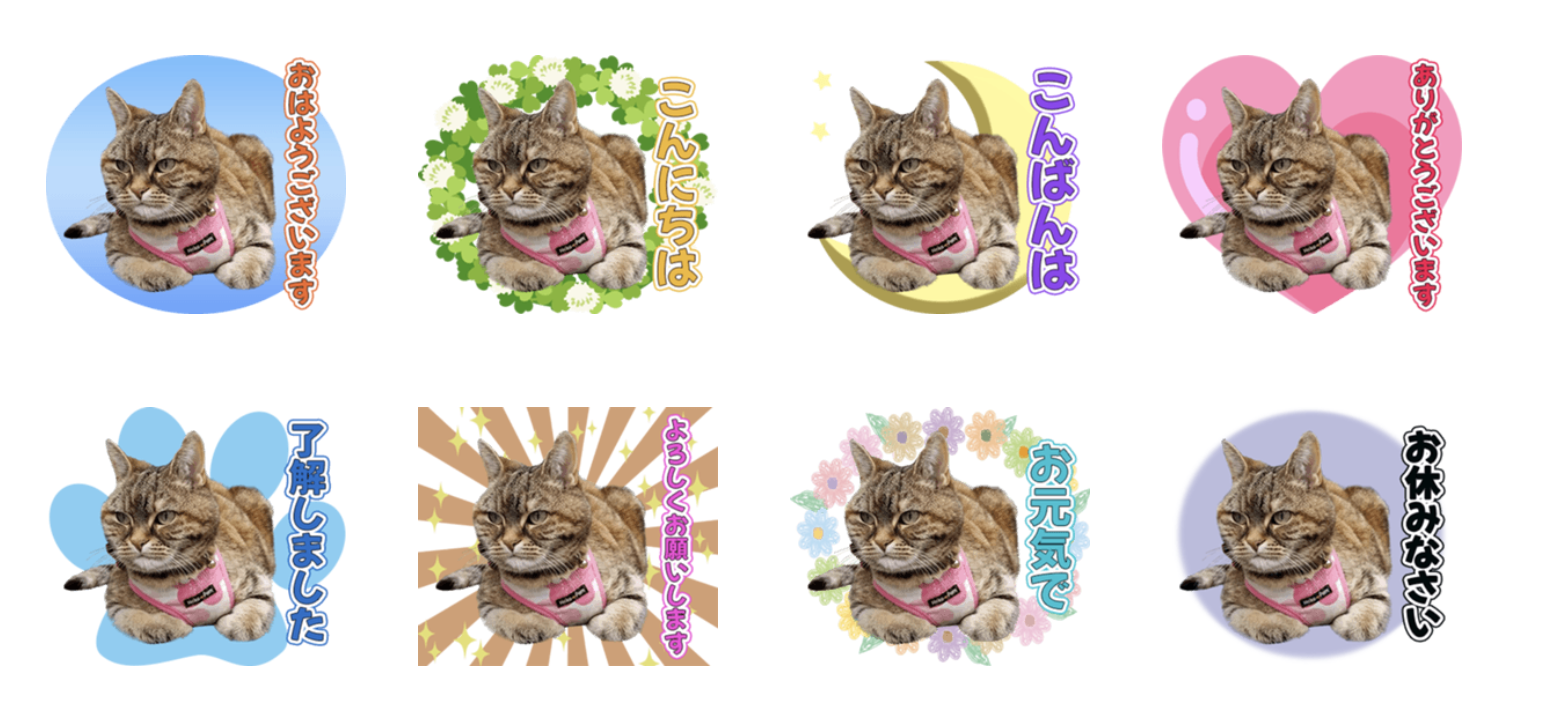 マリちゃん★ | Hapi Sta!（ハピスタ）- LINEスタンプ制作・作成代行サービス