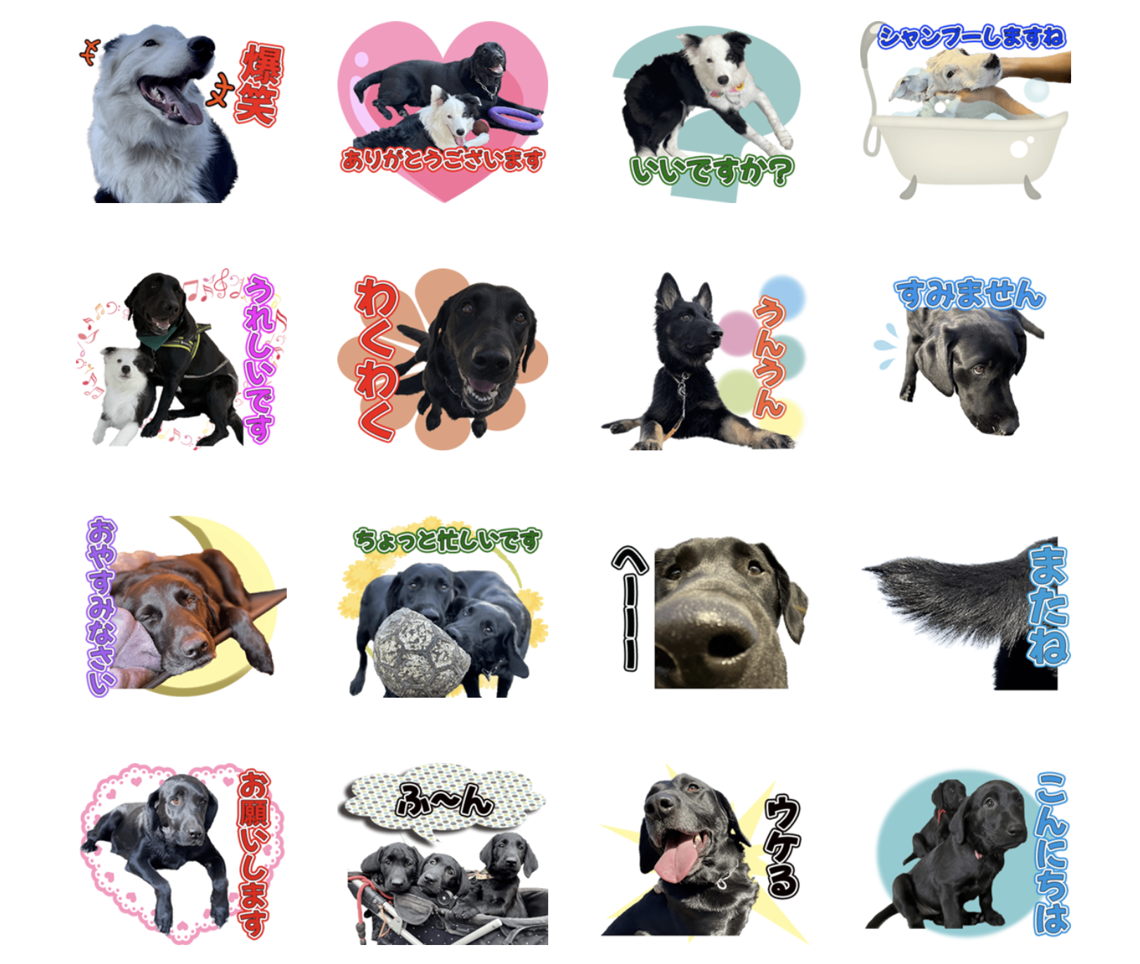 犬の保育園【ドッグハウスベリー】 | Hapi Sta!（ハピスタ）- LINEスタンプ制作・作成代行サービス