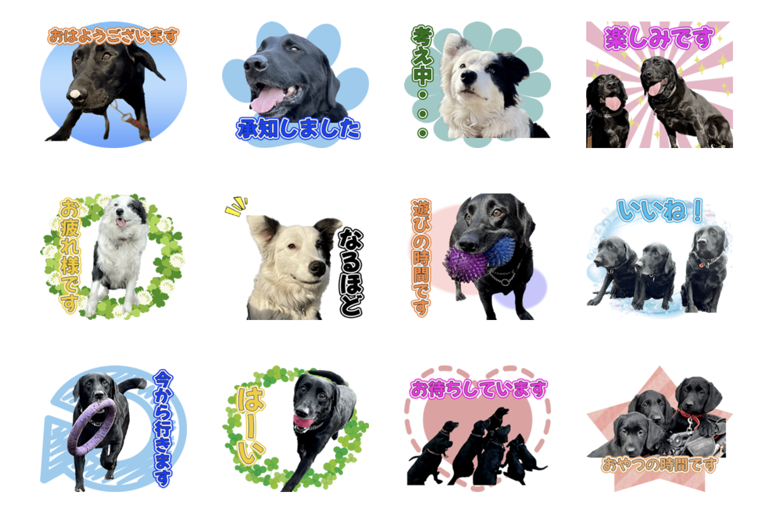 犬の保育園【ドッグハウスベリー】 | Hapi Sta!（ハピスタ）- LINEスタンプ制作・作成代行サービス