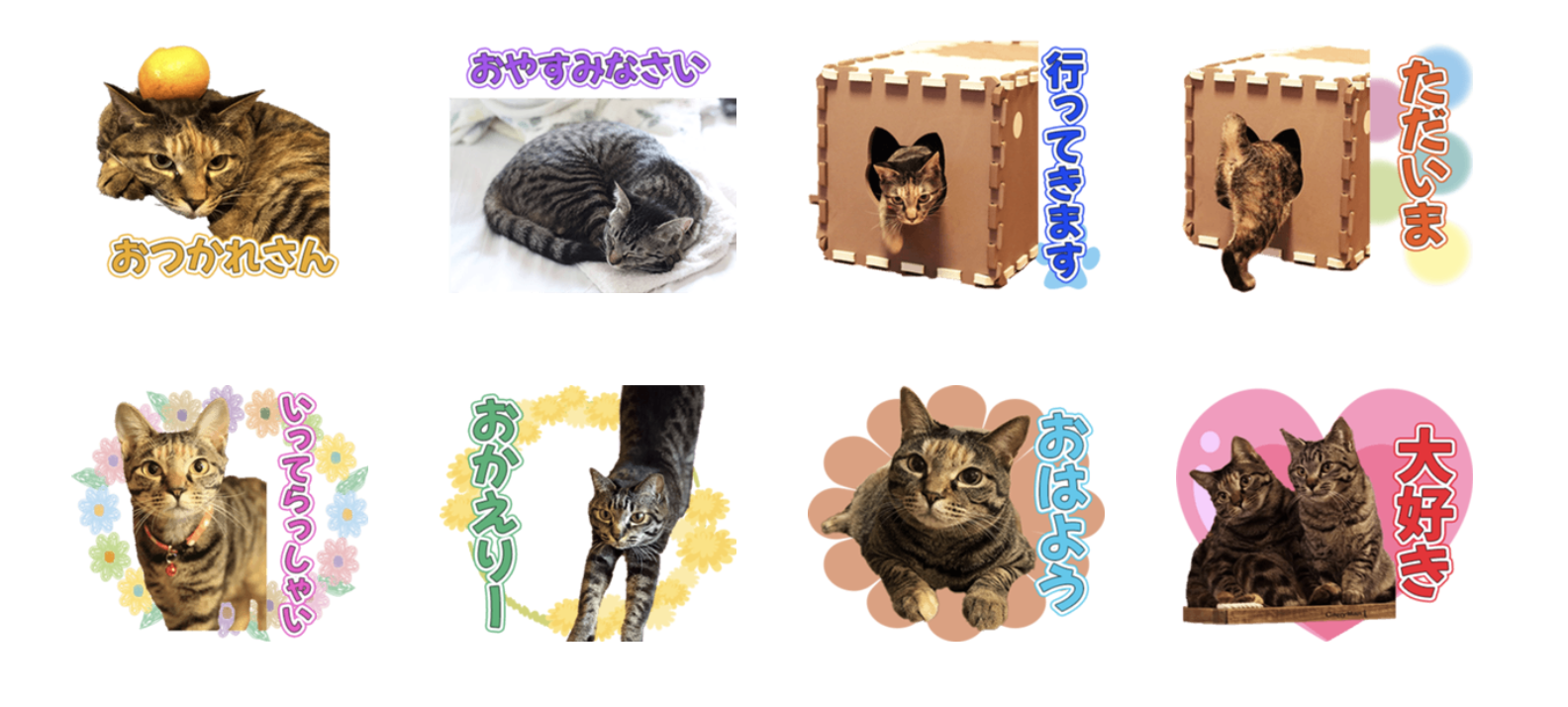 可愛いキジトラ姉妹 | Hapi Sta!（ハピスタ）- LINEスタンプ制作・作成代行サービス