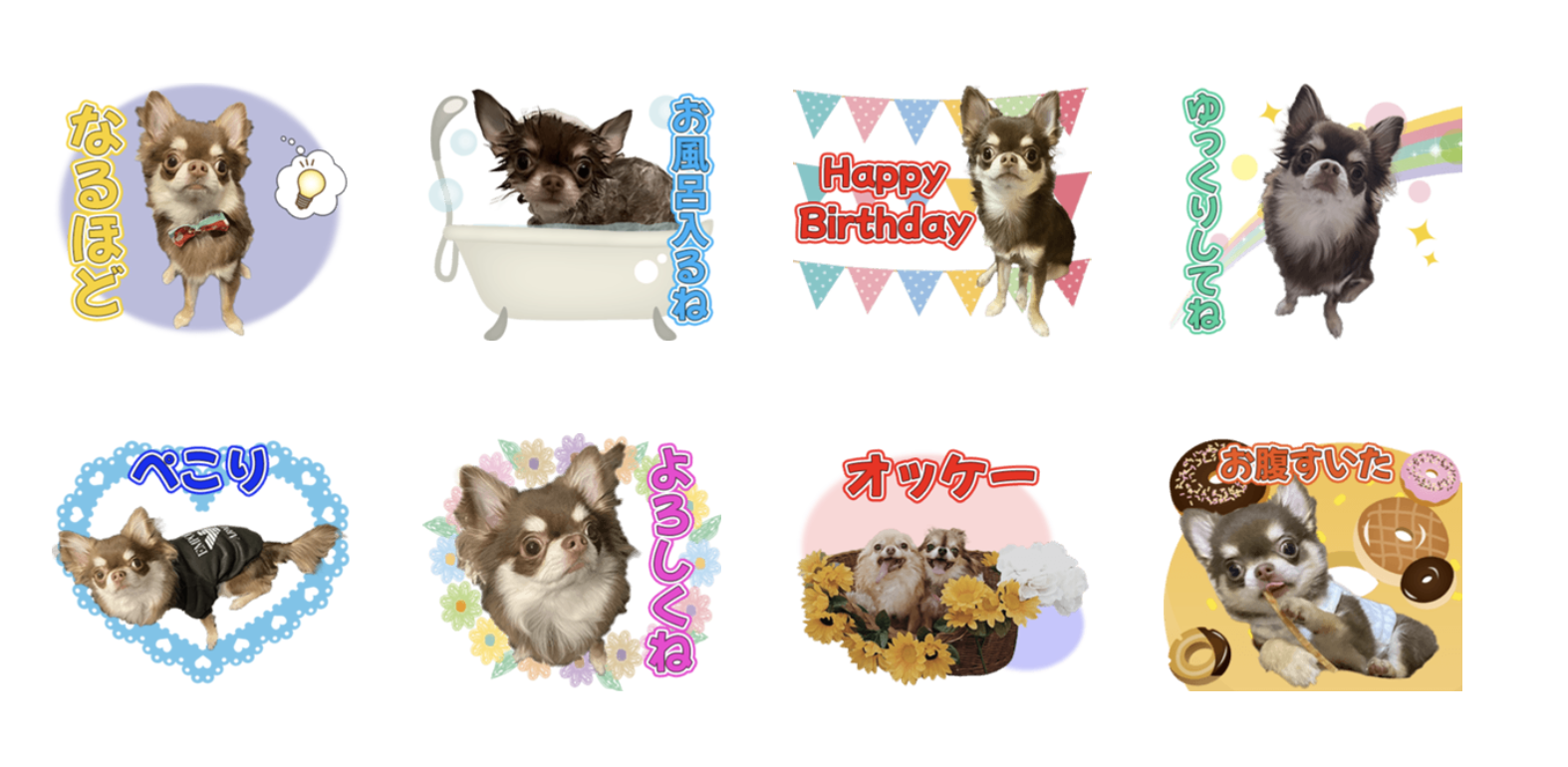 チワワのポコくん♥ | Hapi Sta!（ハピスタ）- LINEスタンプ制作・作成代行サービス