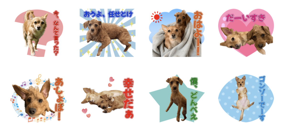 くにちゃんちのお犬様2 | Hapi Sta!（ハピスタ）- LINEスタンプ制作・作成代行サービス