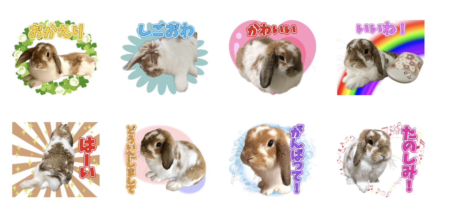 もみちゃんといっしょ。 | Hapi Sta!（ハピスタ）- LINEスタンプ制作・作成代行サービス