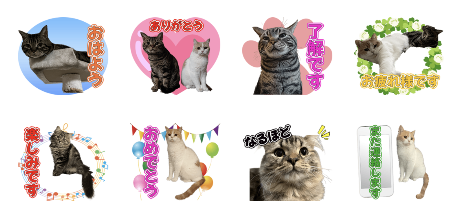 はしもとちゃん | Hapi Sta!（ハピスタ）- LINEスタンプ制作・作成代行サービス