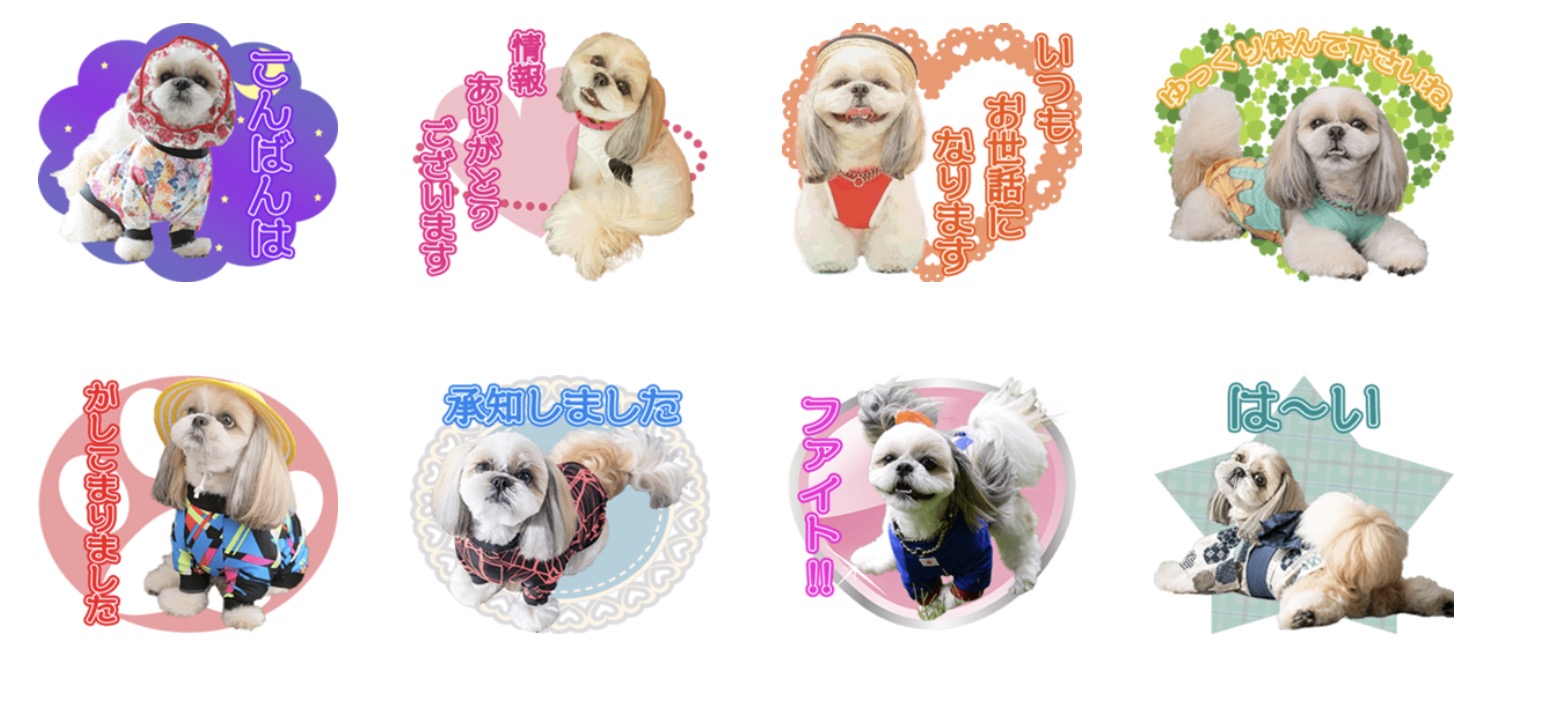 シーズーのポチャッコ君 | Hapi Sta!（ハピスタ）- LINEスタンプ制作・作成代行サービス