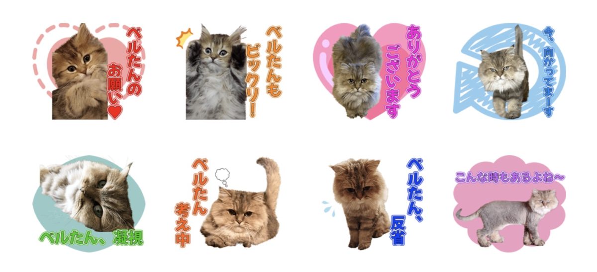 おちゃめなベルたんスタンプ | Hapi Sta!（ハピスタ）- LINEスタンプ制作・作成代行サービス