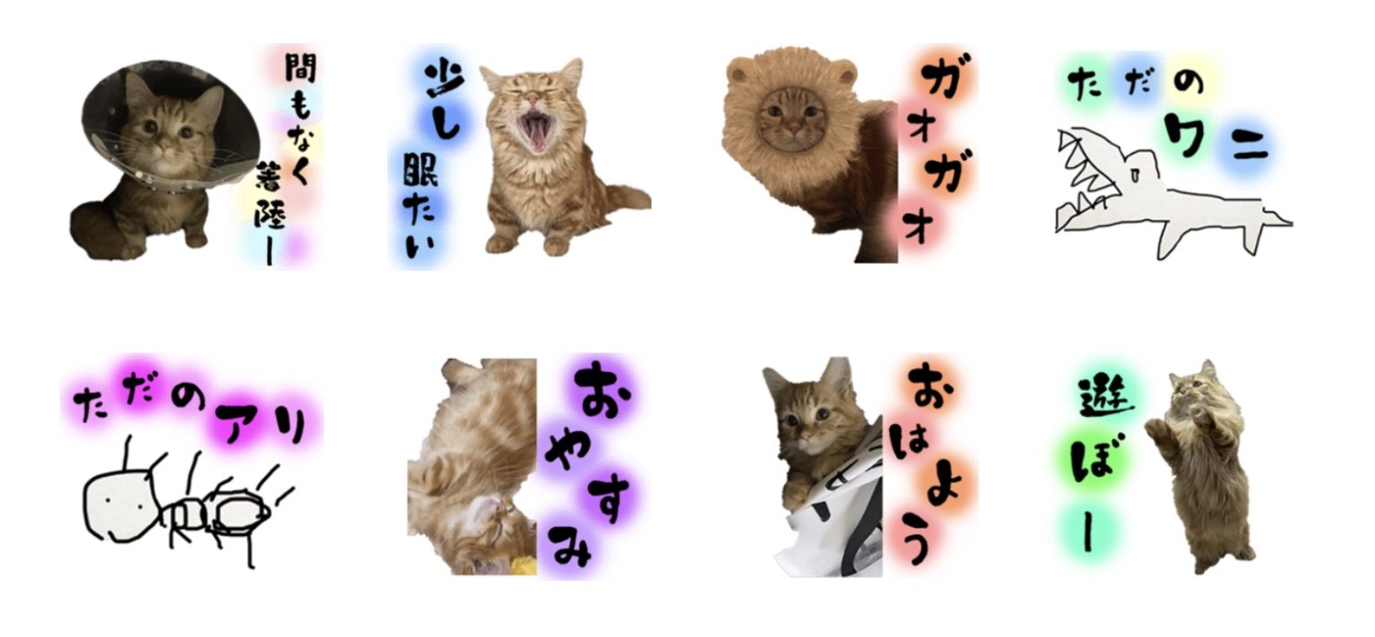 マンチカンのキュウ | Hapi Sta!（ハピスタ）- LINEスタンプ制作・作成代行サービス