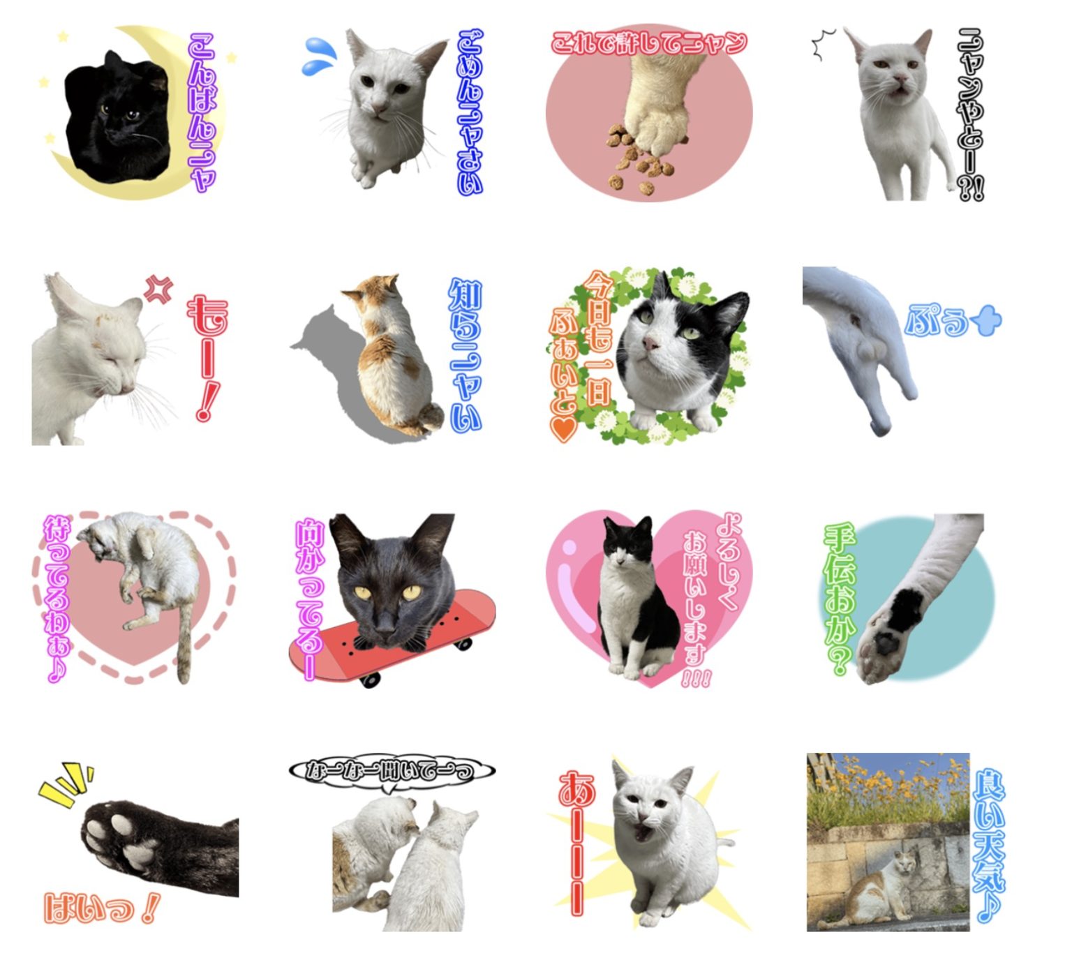 白猫ハクがいっぱい♥︎︎日常スタンプ！ | Hapi Sta!（ハピスタ）- LINEスタンプ制作・作成代行サービス