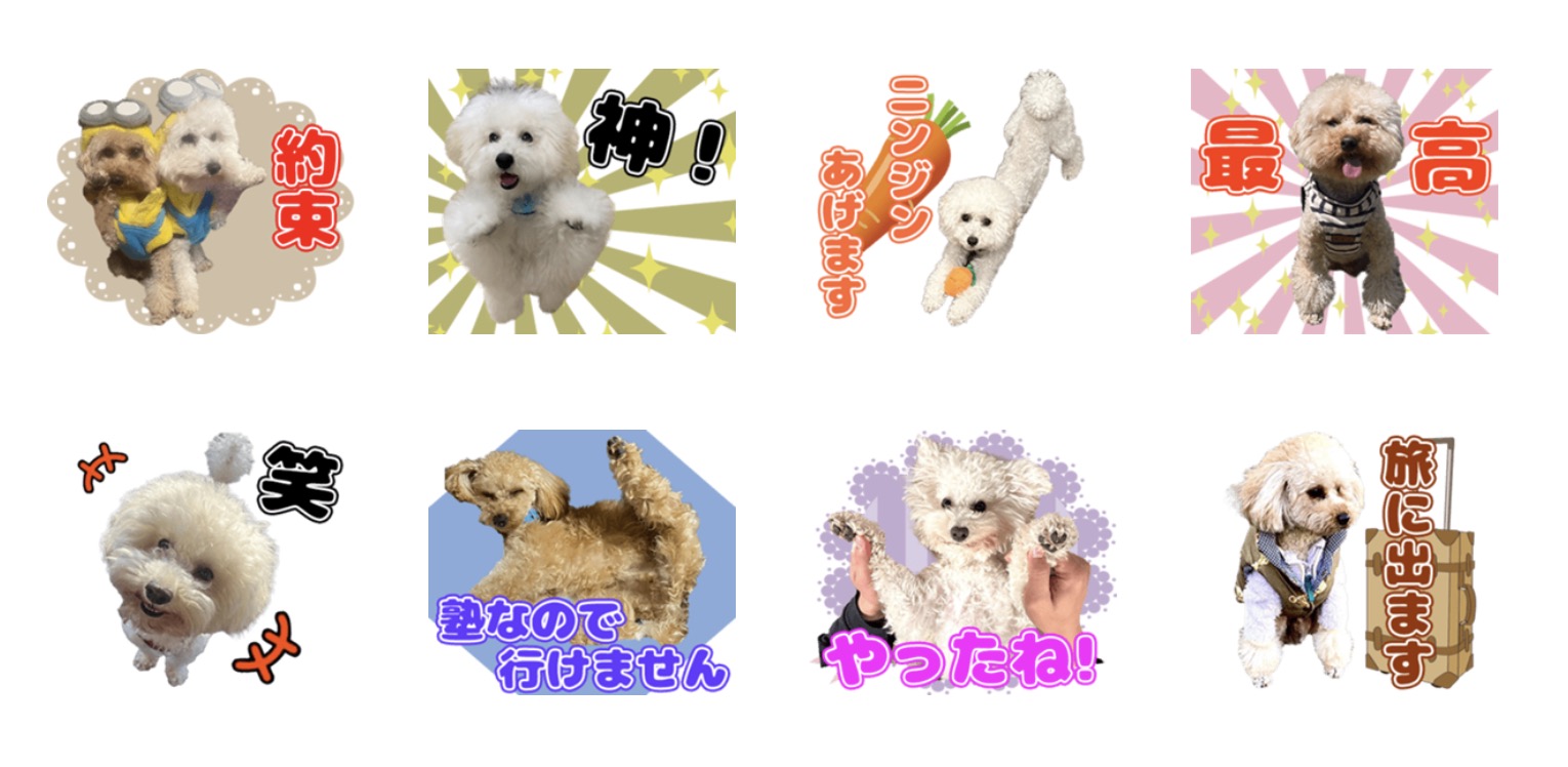 タンタンスノウィの大冒険③ | Hapi Sta!（ハピスタ）- LINEスタンプ制作・作成代行サービス