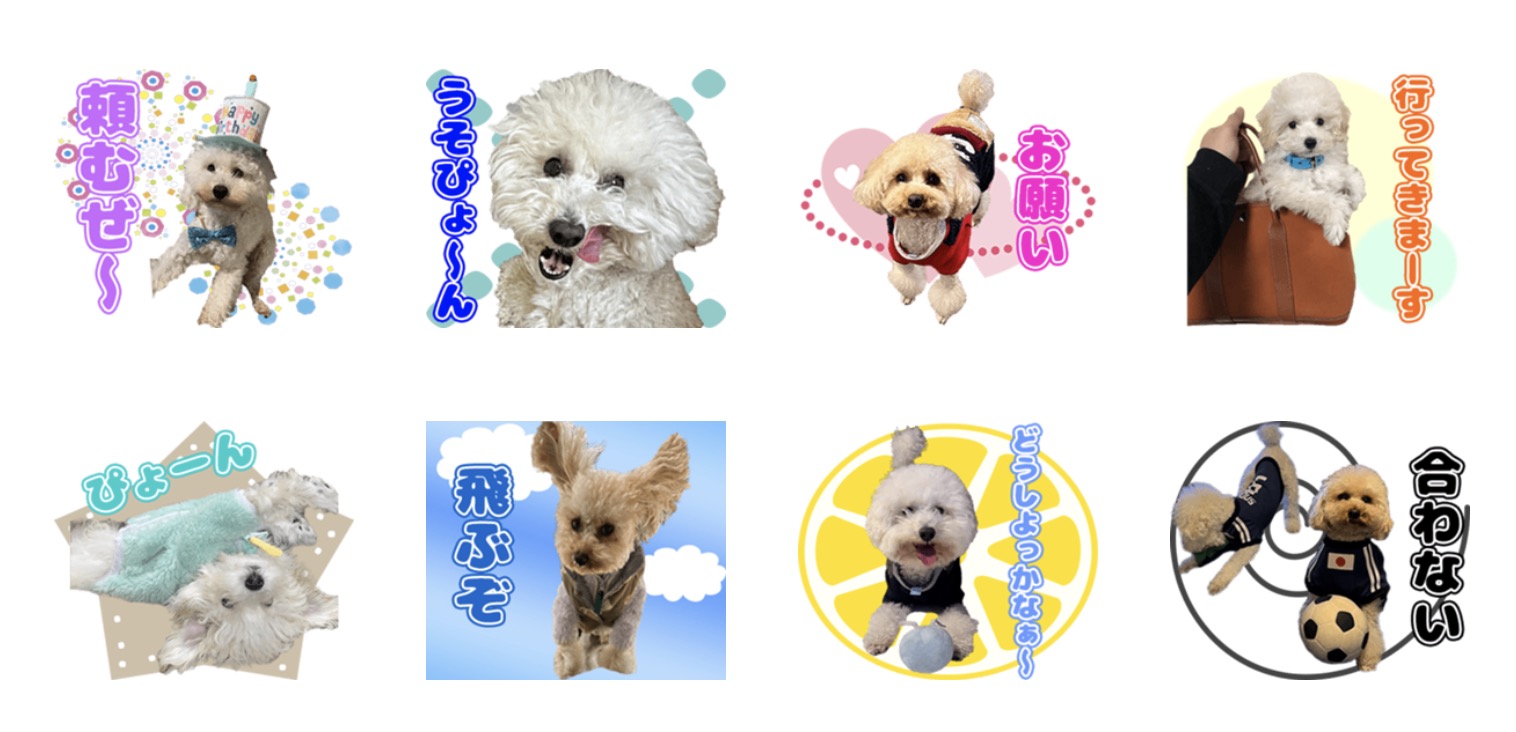 タンタンスノウィの大冒険③ | Hapi Sta!（ハピスタ）- LINEスタンプ制作・作成代行サービス