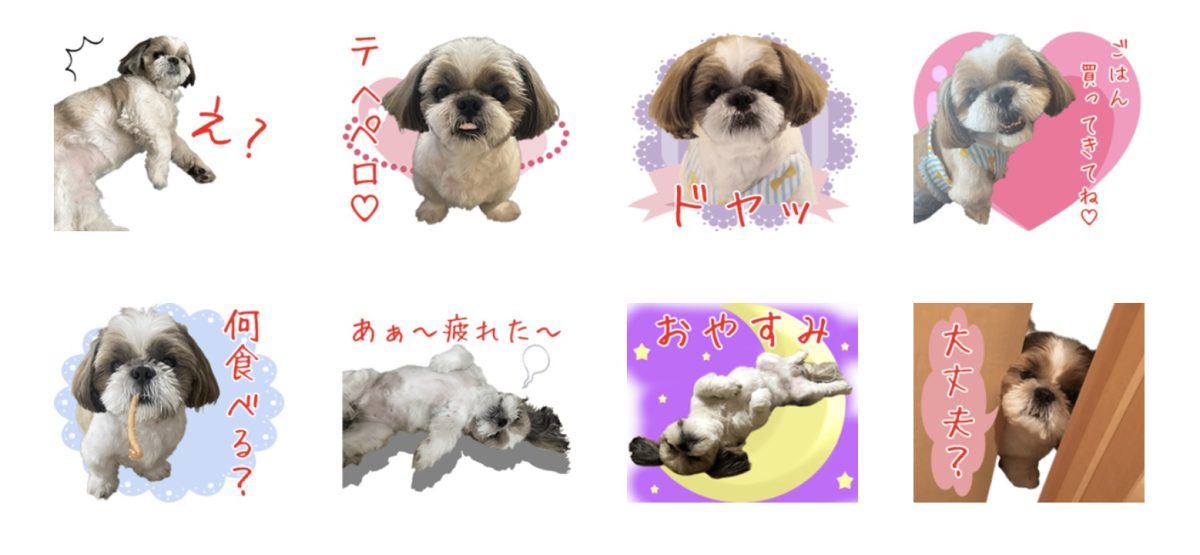 小西家のランちゃんpart4 | Hapi Sta!（ハピスタ）- LINEスタンプ制作・作成代行サービス