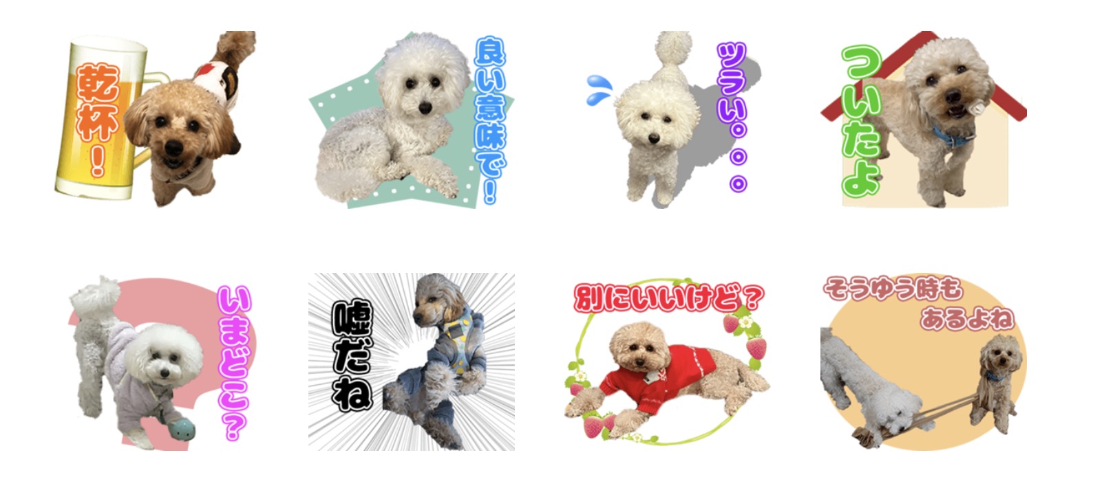 タンタンスノウィの大冒険③ | Hapi Sta!（ハピスタ）- LINEスタンプ制作・作成代行サービス