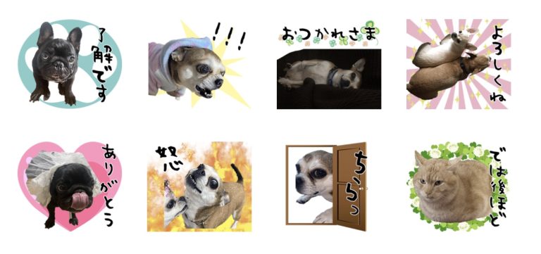 ベジ子と愉快な仲間たち | Hapi Sta!（ハピスタ）- LINEスタンプ制作・作成代行サービス