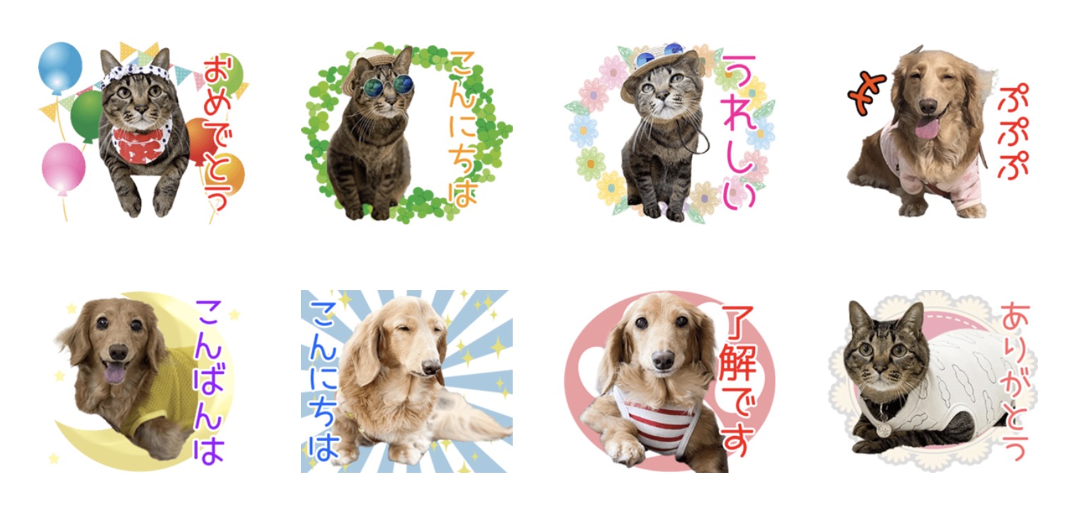 さくら＆大五郎 | Hapi Sta!（ハピスタ）- LINEスタンプ制作・作成代行サービス