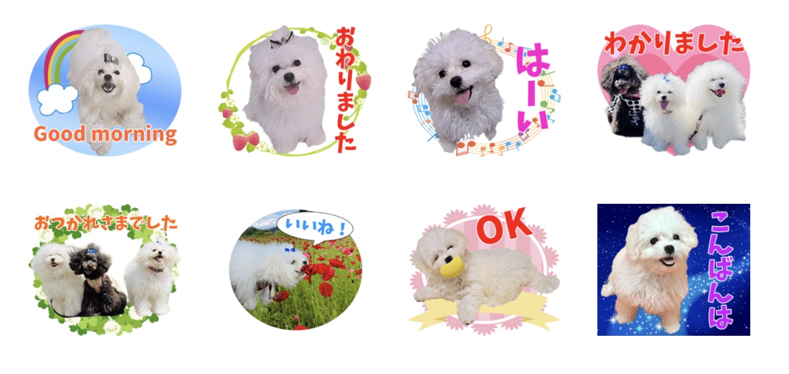 モフモフ三姉妹トイプー&ボロニーズ3 | Hapi Sta!（ハピスタ）- LINEスタンプ制作・作成代行サービス