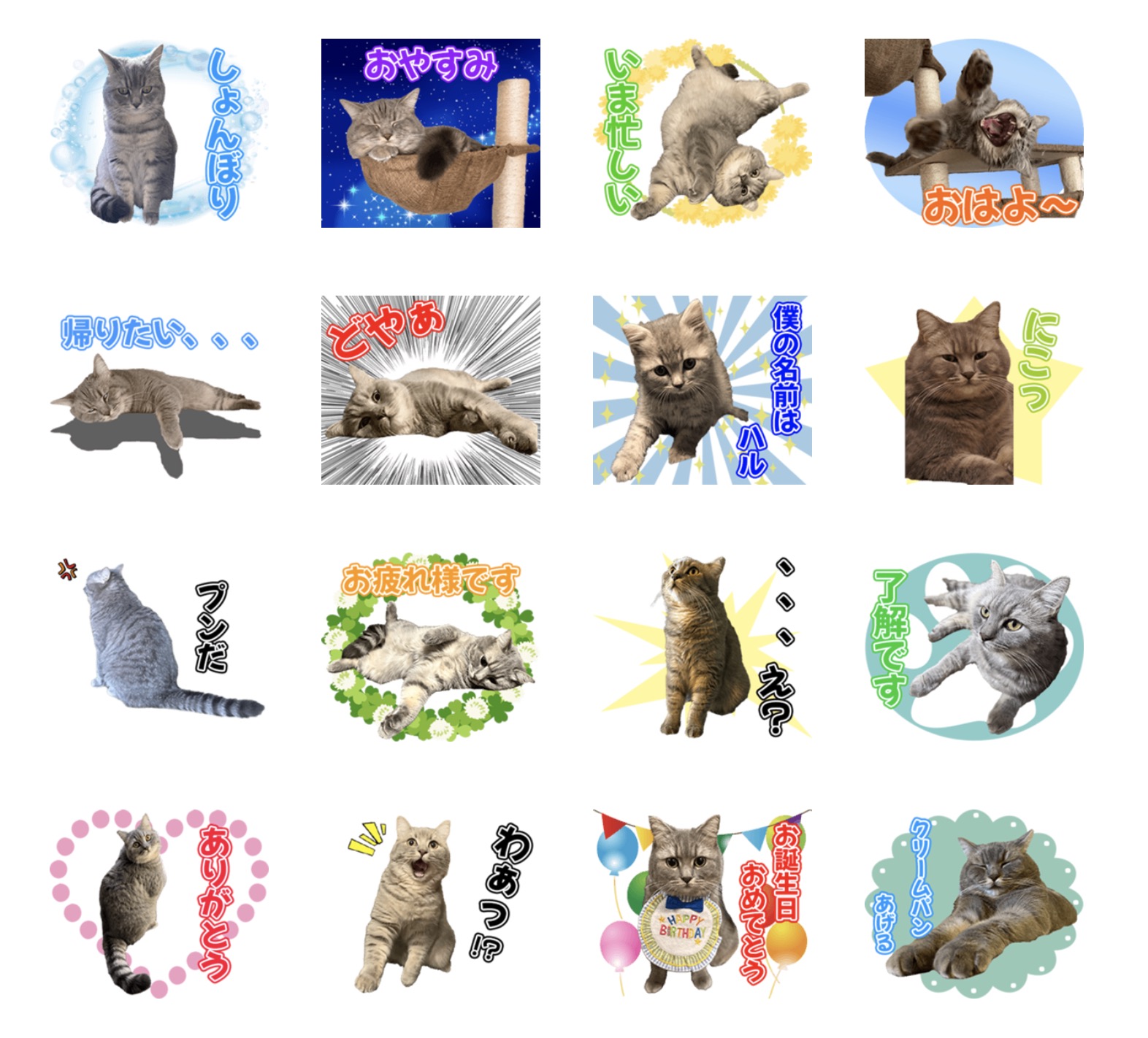 僕の名前はハル. | Hapi Sta!（ハピスタ）- LINEスタンプ制作・作成代行サービス