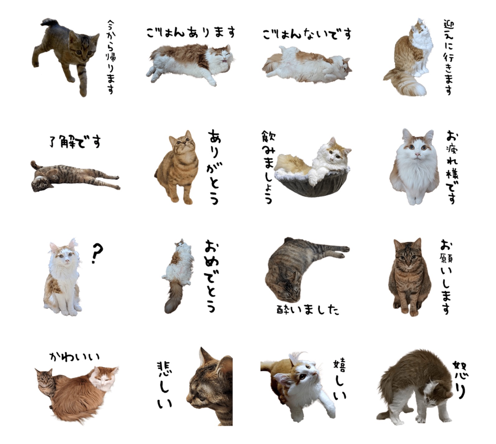 shinsumi | Hapi Sta!（ハピスタ）- LINEスタンプ制作・作成代行サービス